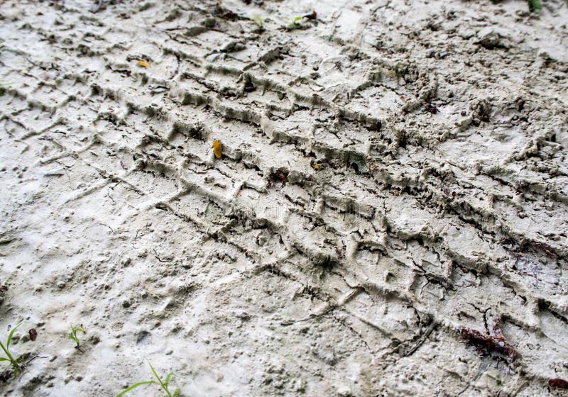 Tire Tracks Texture of Truck on the Mud Stock Photo - Image of texture ...