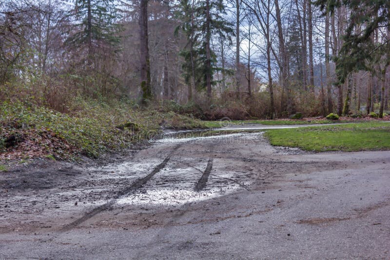 Tire tracks though park stock image. Image of outdoor - 111734063