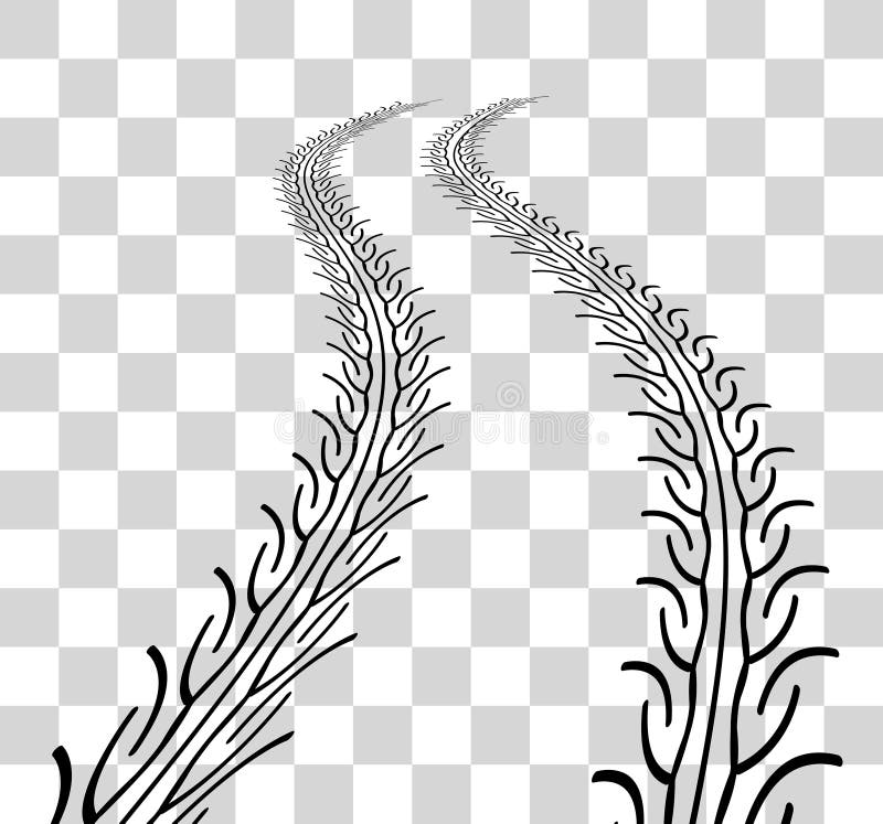 Background Tire Track Transparent Stock Illustrations – 150 Background ...