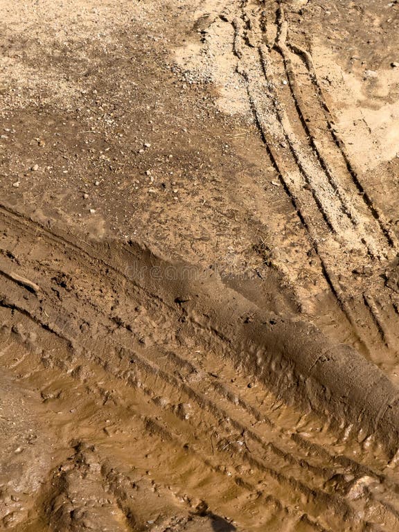 Tire tracks in the wet mud stock photo. Image of wildlife - 392631068