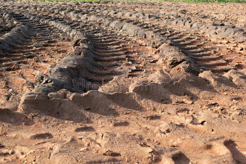 Tire Tread Marks in Mud or Clay, Texture Stock Image - Image of ...