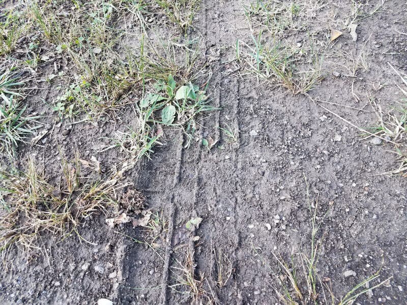 Tire Tread Marks in the Mud Stock Image - Image of marks, prints: 96341549