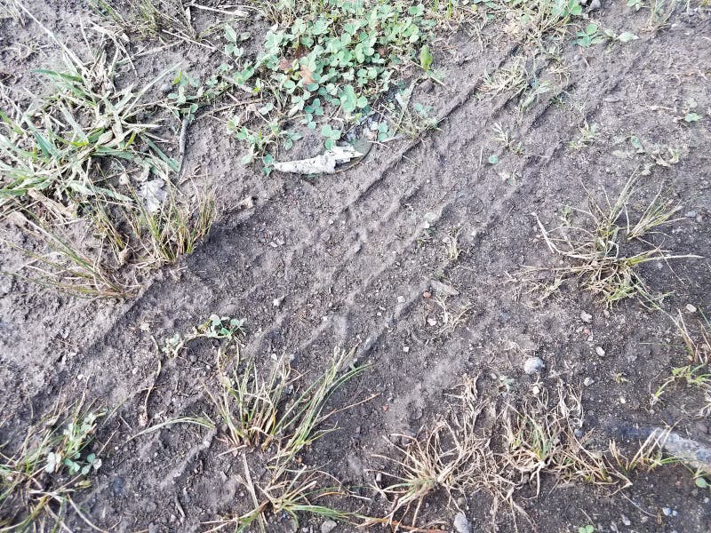 Tire Tread Marks In The Mud Stock Image - Image of lines, prints: 96341661