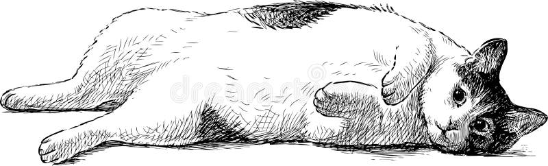 Tired domestic cat stock vector. Illustration of lying - 64785407