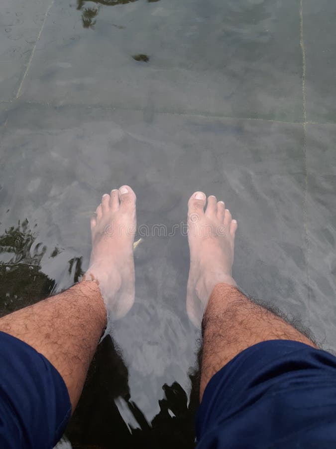 Tired fish stock image. Image of fish, pollution, ruins - 49178067