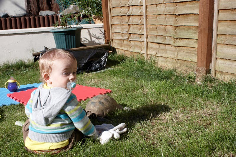 A Tired Little Boy with a Tortoise Stock Photo - Image of tortoise ...