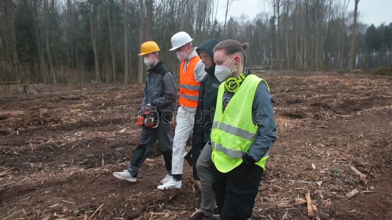 Tired Logging Workers Move through the Cleared Forest. End of Work ...