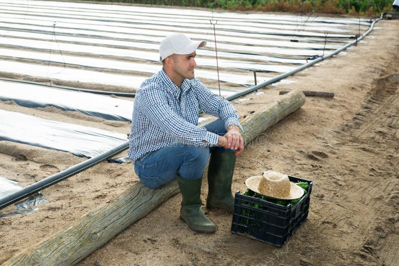 Tired Male Worker Sits on Log after Covering Plants with Covering ...