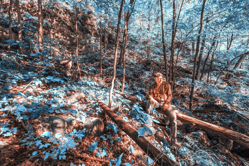 Tired Man Sits on a Log among a Windbreak in the Taiga Stock Photo ...