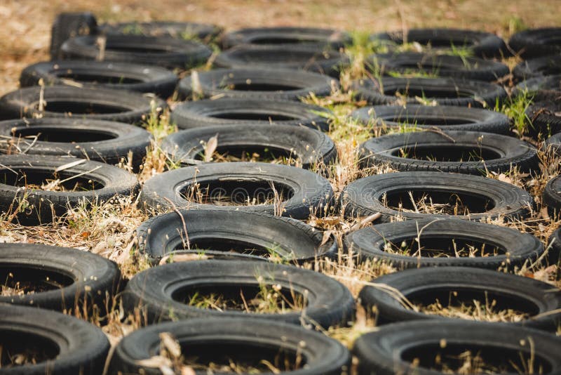 Tires Placed in a Row on Ground for Obstacle Training Course Stock ...