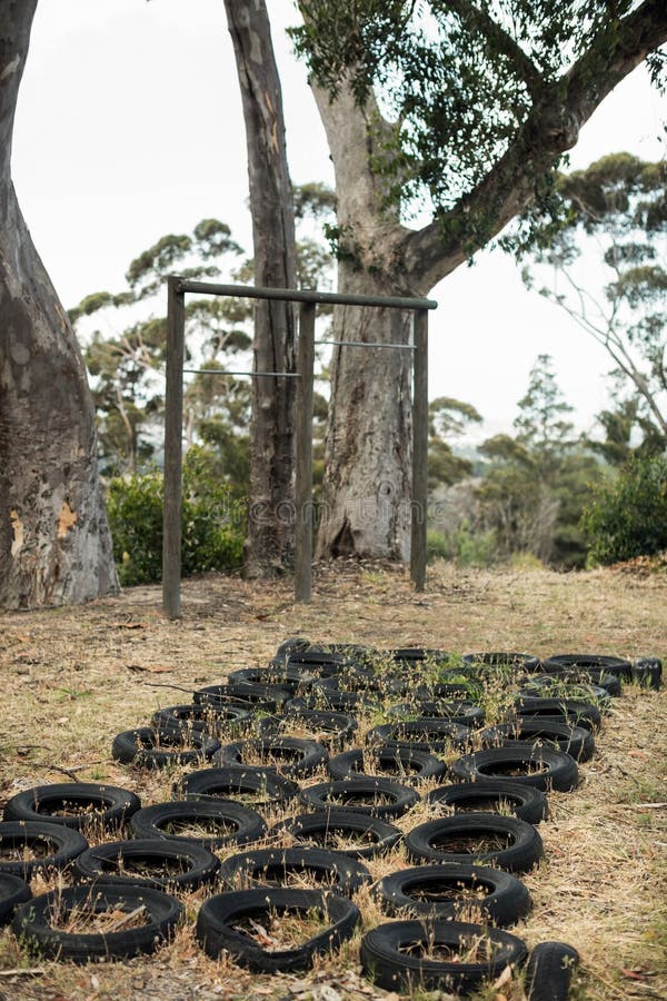 Tires Placed in a Row on Ground for Obstacle Training Course Stock ...