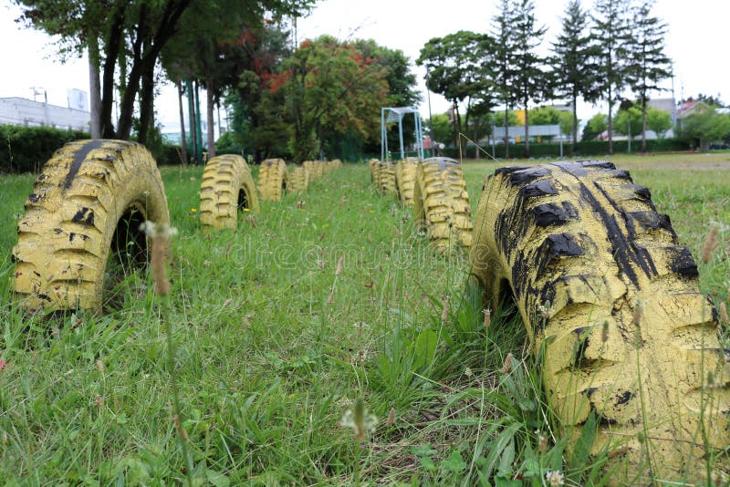 Tires stock photo. Image of people, craft, lawn, nature - 76726522