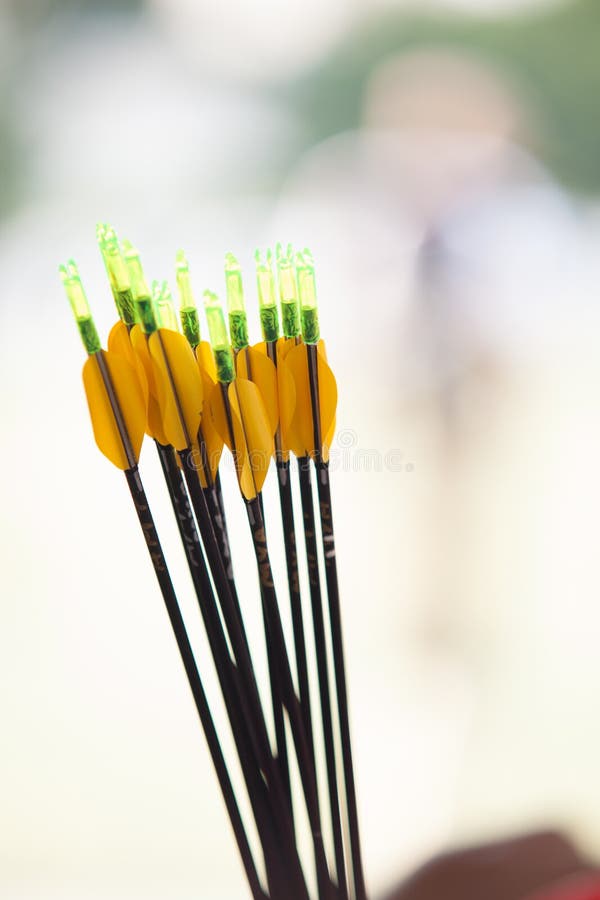 Tiro Al Arco Con Las Flechas Imagen de archivo - Imagen de selectivo ...