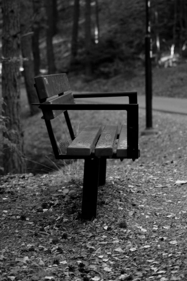 Tiro Em Escala De Cinza De Um Velho Banco Num Parque Foto de Stock ...