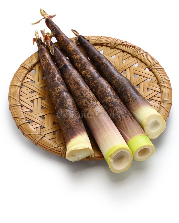 Tiros De Bambu Japoneses De Madake Imagem de Stock - Imagem de dieta ...