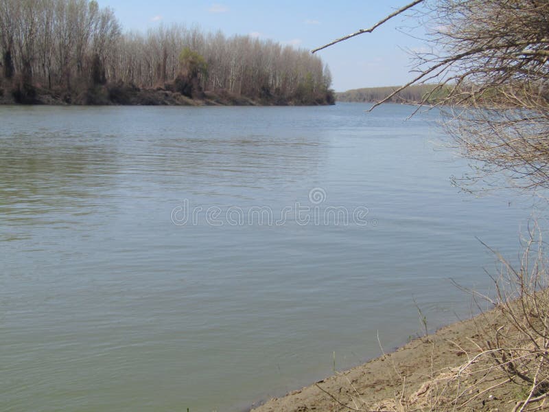 The Tisa River in Banat stock photo. Image of countryside - 178474110