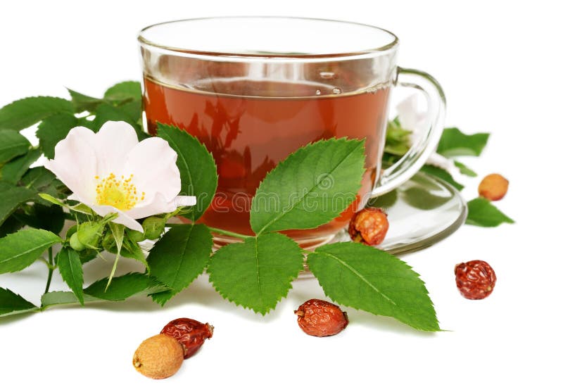 Tisana foto de stock. Imagem de baga, flor, folha, elegância - 31319688