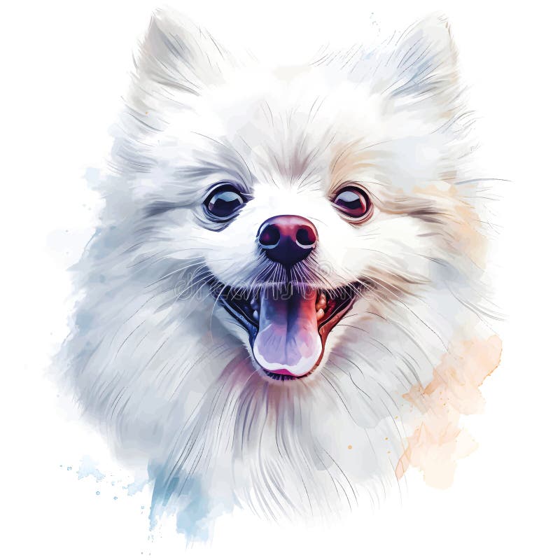 Saluka Stock Illustrations – 6 Saluka Stock Illustrations, Vectors ...