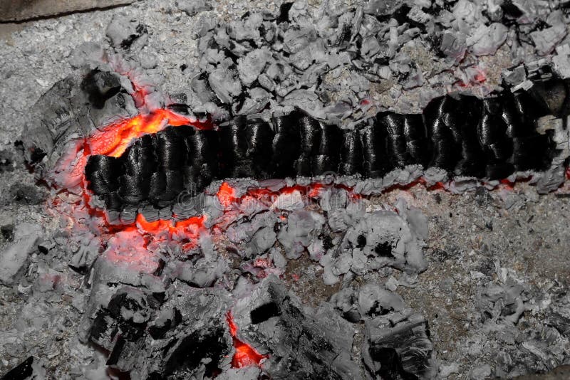 449 Photos de Tison - Photos de stock gratuites et libres de droits de ...