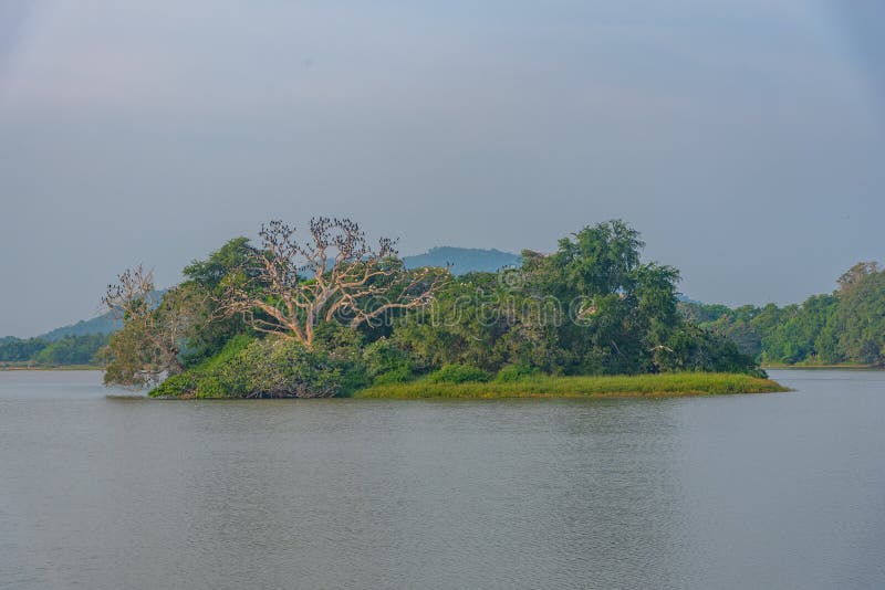 Tissa Weva Lake at Sri Lanka Stock Photo - Image of blue, tropical ...