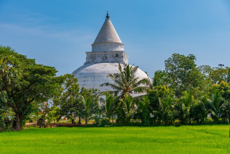 Tissamaharama Stupa at Sri Lanka Stock Photo - Image of temple, yala ...