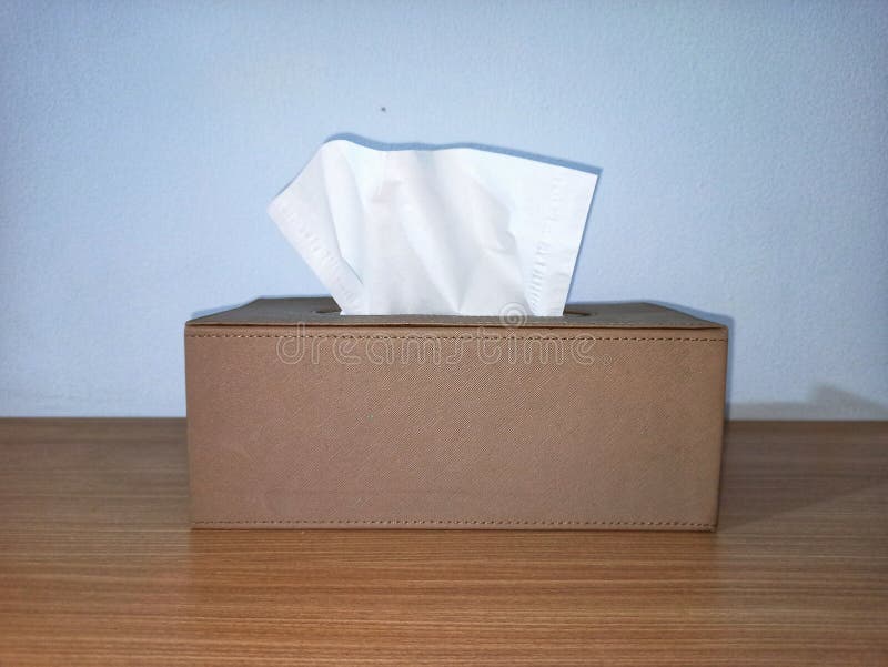 Tissue in a Box on the Table Stock Image - Image of packaging, isolated ...