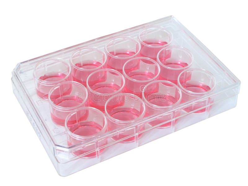 Tissue Culture Plate with Red Liquid Stock Image - Image of tissue ...