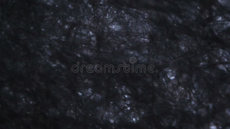 Tissue Paper Fibers Under the Microscope Stock Footage - Video of ...