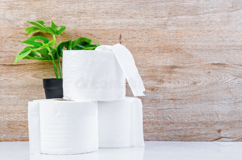 Tissue Paper Rolls and Green Leaves Stock Image - Image of save, purity ...