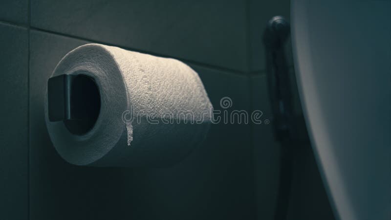 Tissue Roll in the Dark Restroom Stock Image - Image of domestic, sheet ...