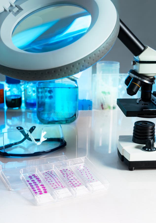 Tissue Samples for Microscopy Stock Image - Image of histology, science ...