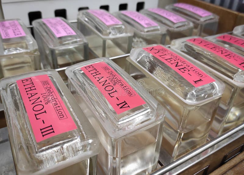 Tissue Staining in a Pathology Lab Stock Photo - Image of science ...