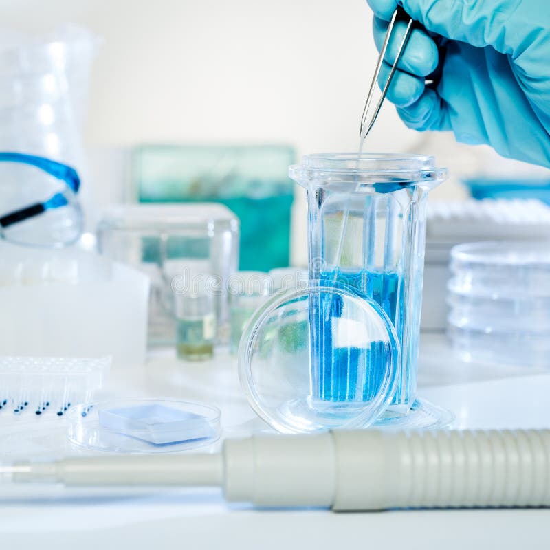 Tissue staining procedure stock image. Image of biopsy - 33360433