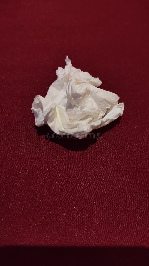 A tissue trash is on top stock image. Image of plant - 216035613