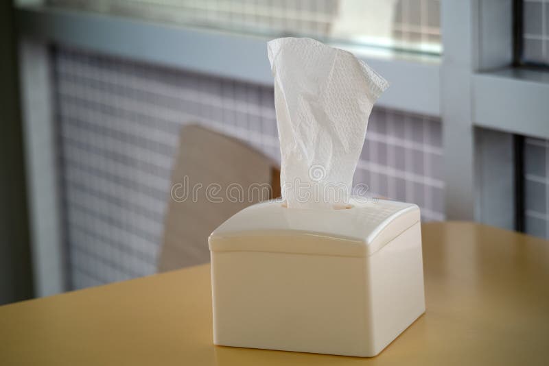 Tissue in White Plastic Box on Dining Table Stock Image - Image of ...