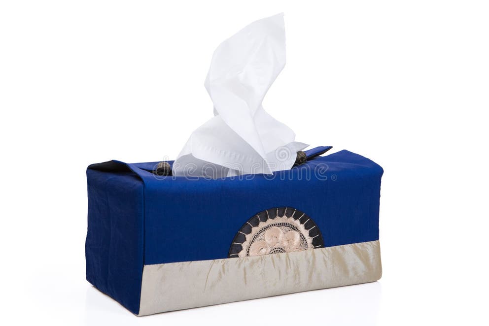 Tissue on wrapped box stock photo. Image of tissue, container - 8474536
