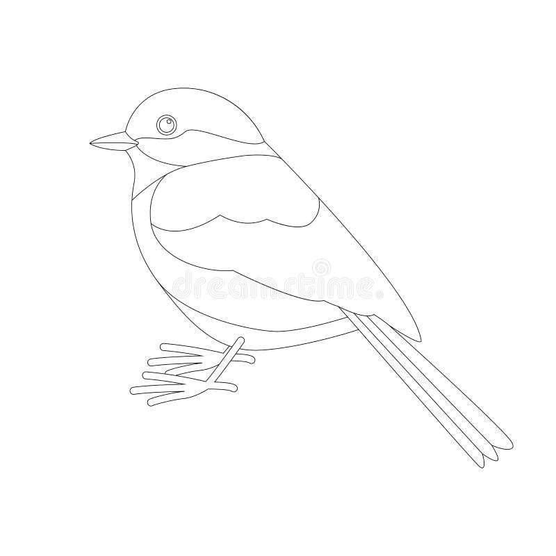 Titmouse Bird, Vector Illustration, Lining Draw , Side Stock Vector ...