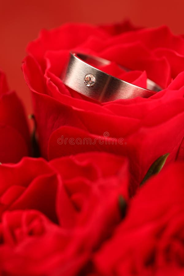 Titanium Engagement Ring on Rose Stock Photo - Image of gemstone, close ...