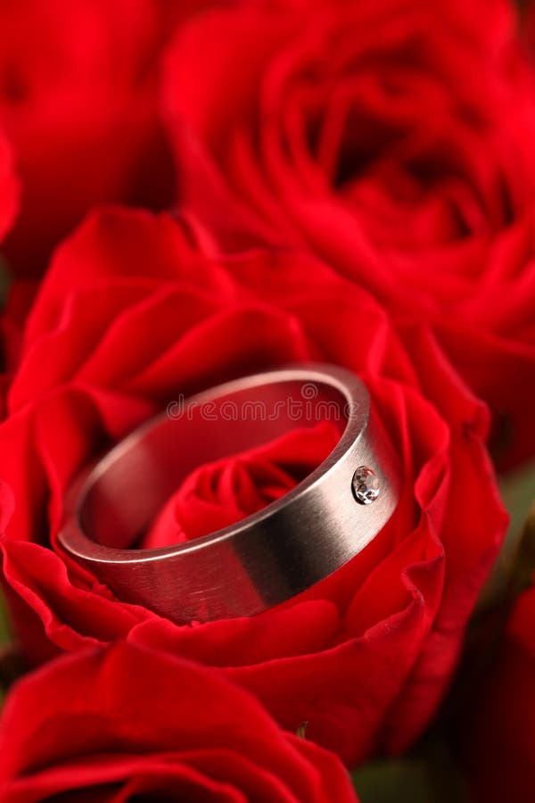 Titanium Engagement Ring on Rose Stock Image - Image of diamond ...