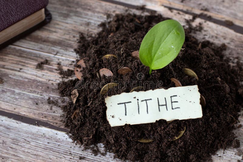 Tithe, Handwritten Text Word on Soil with Coin Money and Green Leaf ...