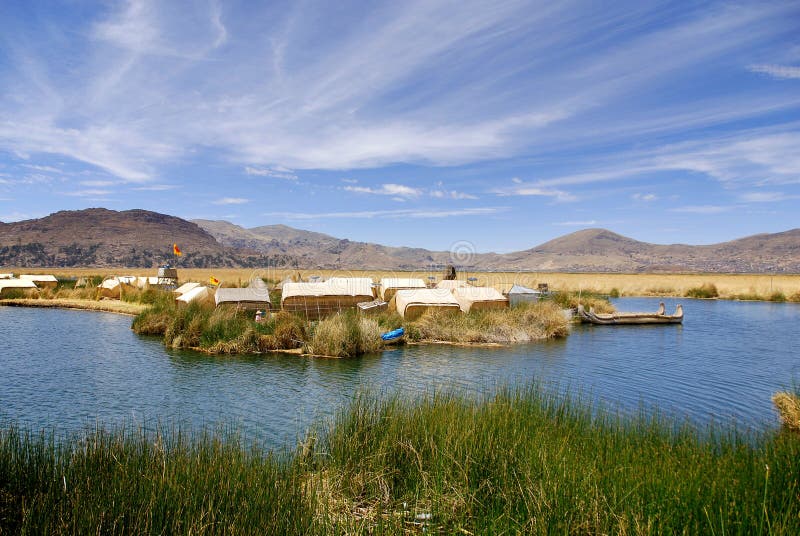 116 Totora Plants Photos - Free & Royalty-Free Stock Photos from Dreamstime