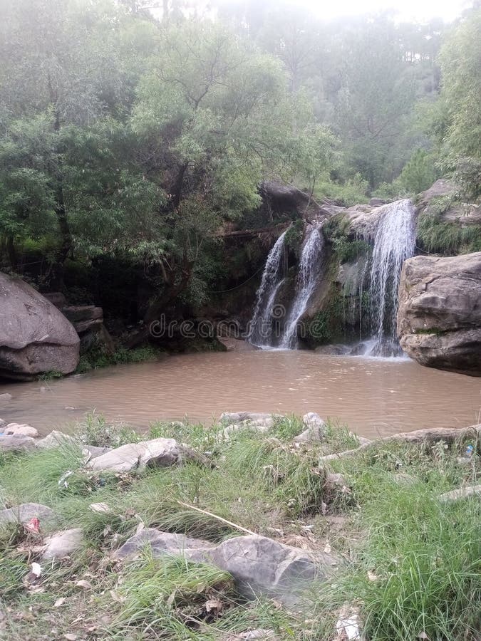 Title: Serene Waterfall in a Forest Setting Stock Image - Image of ...