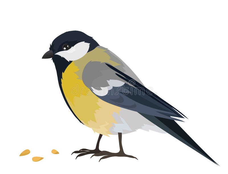 Educational Game Coloring Book Bird Vector Stock Vector - Illustration ...