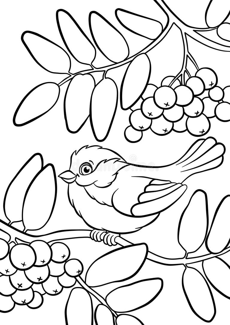 Ash Tree Drawing Stock Illustrations – 3,485 Ash Tree Drawing Stock ...