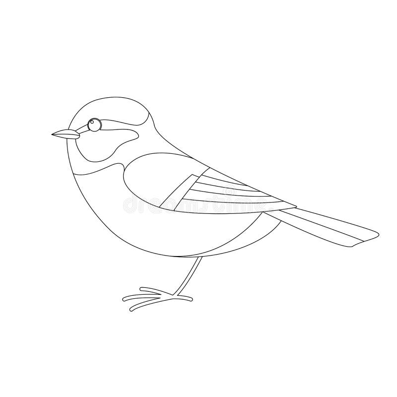 Titmouse Bird, Vector Illustration, Lining Draw , Side Stock Vector ...