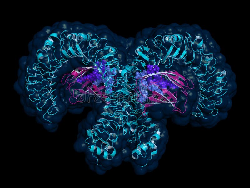 TLR4 Toll-like Receptor, Cartoon Model Stock Illustration ... TLR4 Toll-like Receptor, Cartoon Model Stock Illustration ...