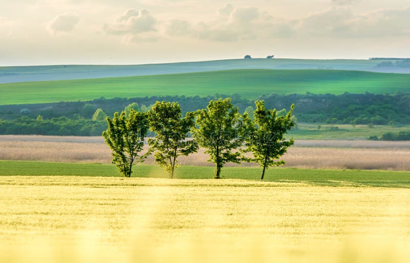 To be free in rural area stock image. Image of dreamy - 149608005