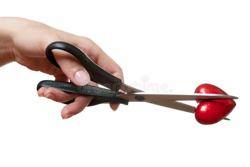 Scisssors in hand stock photo. Image of edge, grips, implement - 2909338