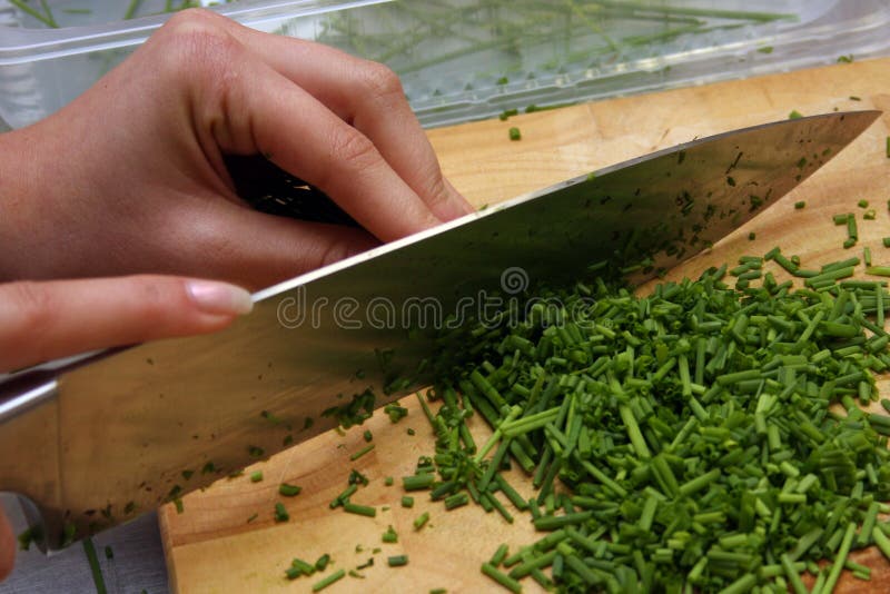 To cut chive stock photo. Image of herbage, cutting, cooking - 11300452