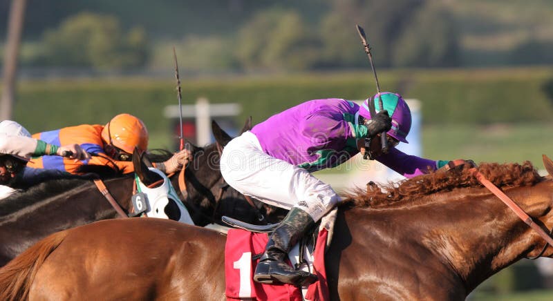 Line Up Horses Kentucky Derby Stock Photos - Free & Royalty-Free Stock ...